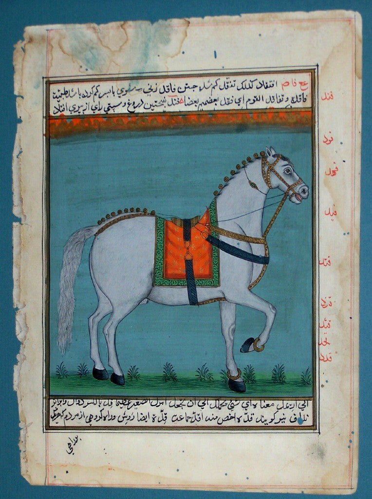 ARABIAN HORSE Painting from a Persian Manuscript - Tenth Legion Fine ...